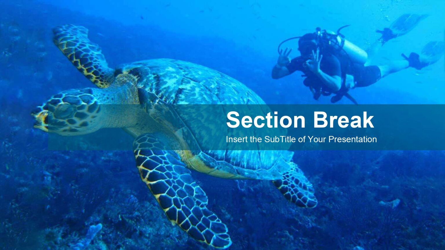 Océano Plantilla PowerPoint | Temas PPT y Google Slide