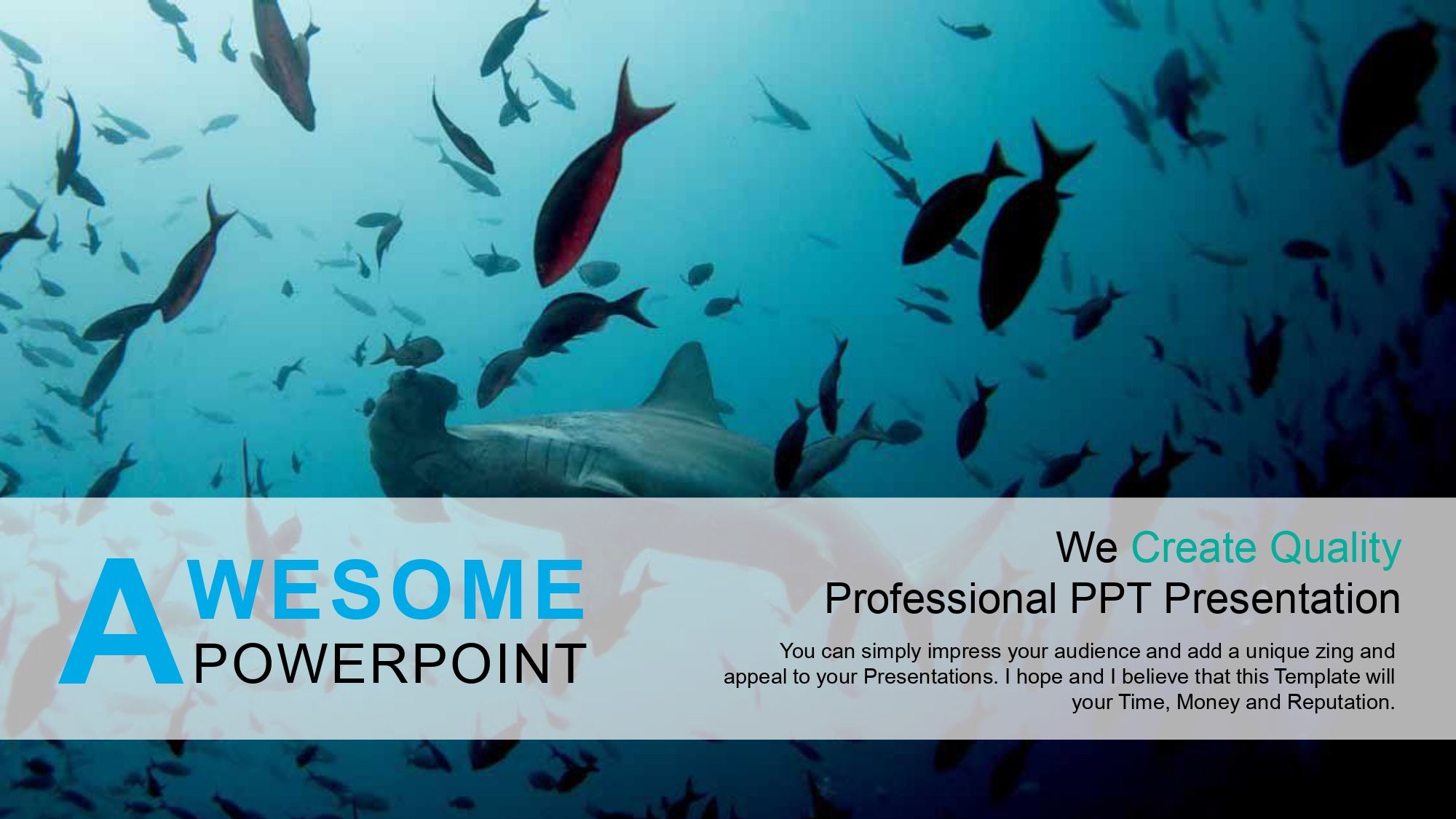 Tiburón Plantilla PowerPoint | Temas PPT gratis